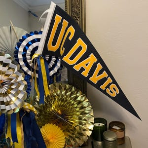 Large Custom Pennant. Personalized High School/college/name/company ...