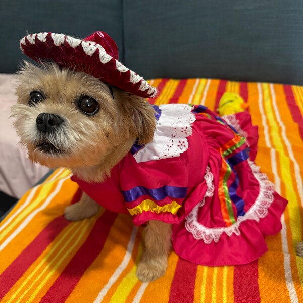 Mariachi Dog Costume/ Mariachi Outfit for Dogs/ Mexican Dog Costume ...