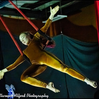 Tiger Print Velvet Catsuit Jumpsuit Animal Print Safari Unitard ...