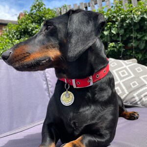 Dog Tag Bunny Chaser Dog Tag Funny Pet Tag Dog ID Tag | Etsy