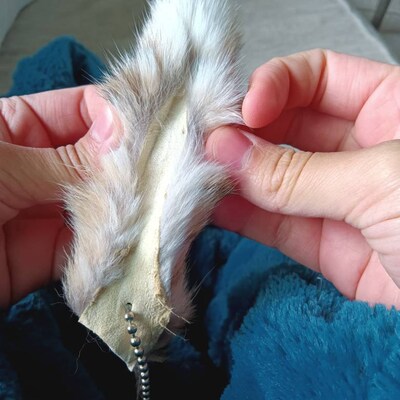 Genuine Bobcat Tail Keychain CHOOSE SIZE - Etsy