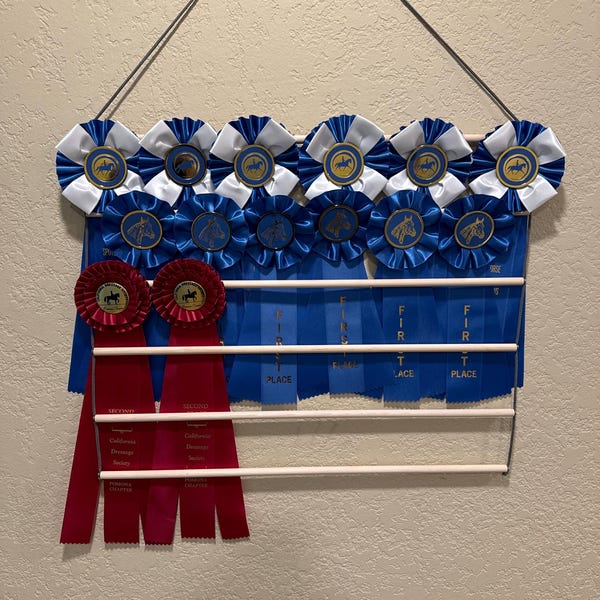 Horse Show Ribbon Display- Made With NEW Leather English Reins! - Etsy
