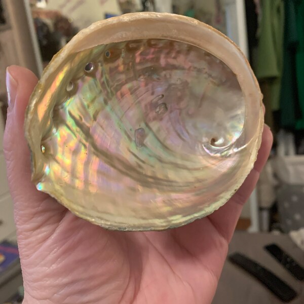 Sage and Sweetgrass Braid Smudging Wand for Attracting Good Energy - Etsy