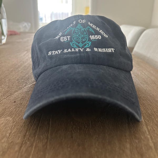 Bookworm Hat, Reading Club Hats, Librarian Gift, Reading Hats, Cap for ...