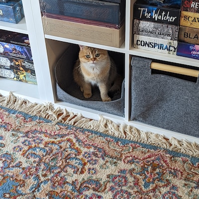 Felt Box With Wooden Handle, Felt Basket as a Kallax Insert - Etsy