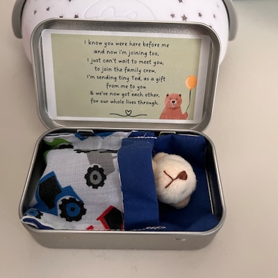 Gender Reveal Bear Gender Announcement Teddy in a Tin TM Baby Shower ...