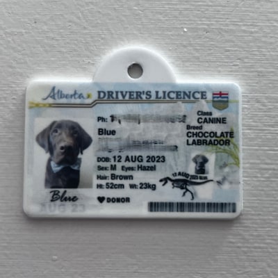California Driver Dog Id Tag Personalized License, Durable Dog Tag ...