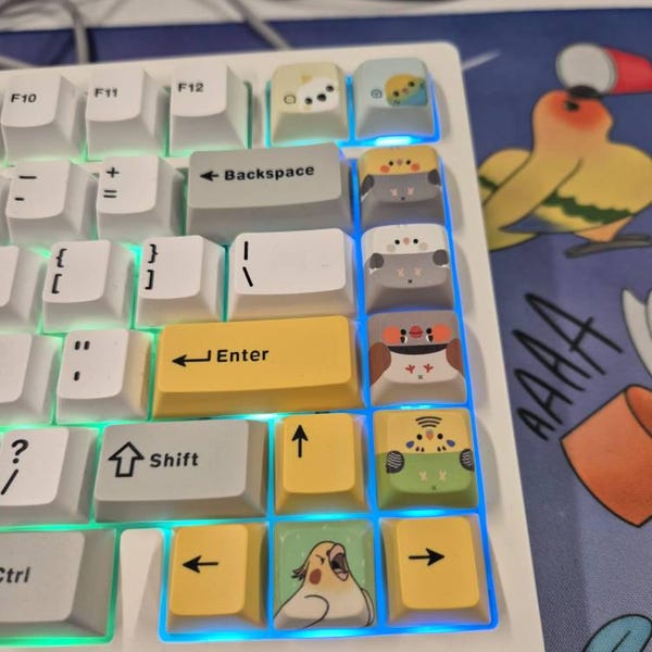 Birdy Keycaps (for Mechanical Keyboard) - Etsy