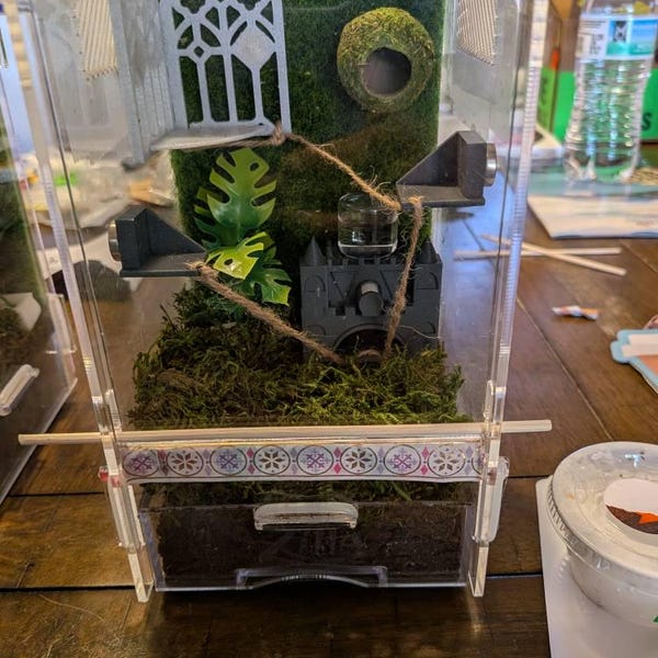 Custom Jumping Spider Enclosure From Kritter Kribs With Magnetic ...