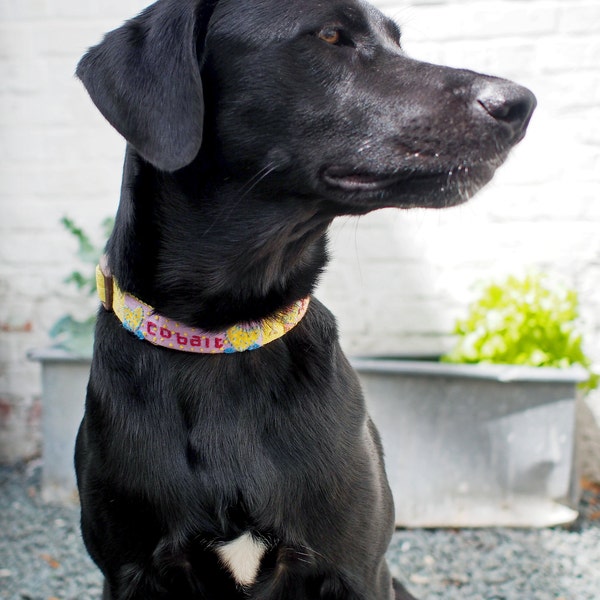 Dog Name Collar, Dog Name Tag, Dog ID Collar, Personalized Dog Collar ...