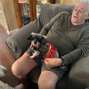 Racing Checkered Flag Fleece Dog Harness Coat - Etsy