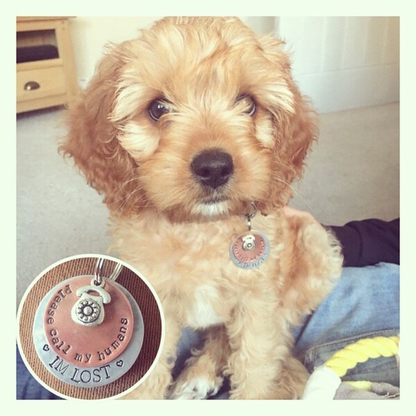 Dog Tag | Call My Humans Personalised Dog Tag | I'm Lost Pet Tag | Dog ...