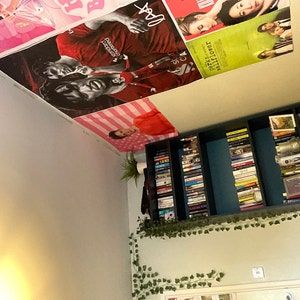 Original Austin Butler Pink Wall Tapestry American Flag - Etsy