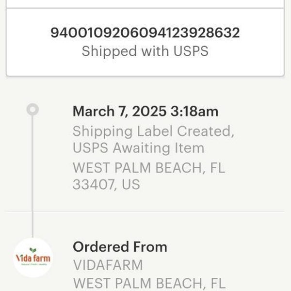 Ash Gourd Plant in 4 Inch Pot, Live Long Winter Melon Plants Potted ...