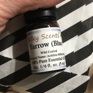 Chamomile Roman Wild Crafted Essential Oil Anthemis Nobilis | Etsy