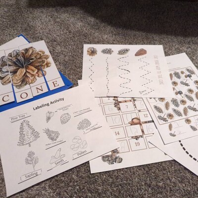 Leave No Trace Printable Activity for Kids forest School, Earth Day ...