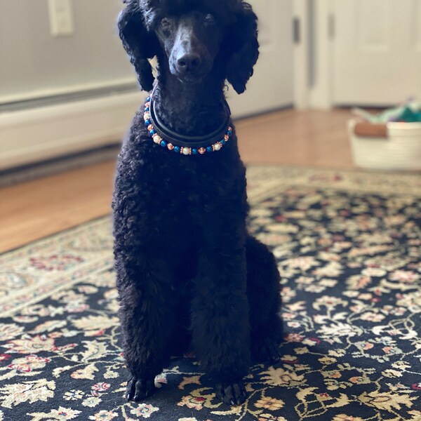 CUSTOM Bridle Tack Charms - Etsy