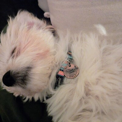 Nautical Pet ID Tag Lighthouse Dog Name Tag Sailor Stamped Cat ID Tag ...