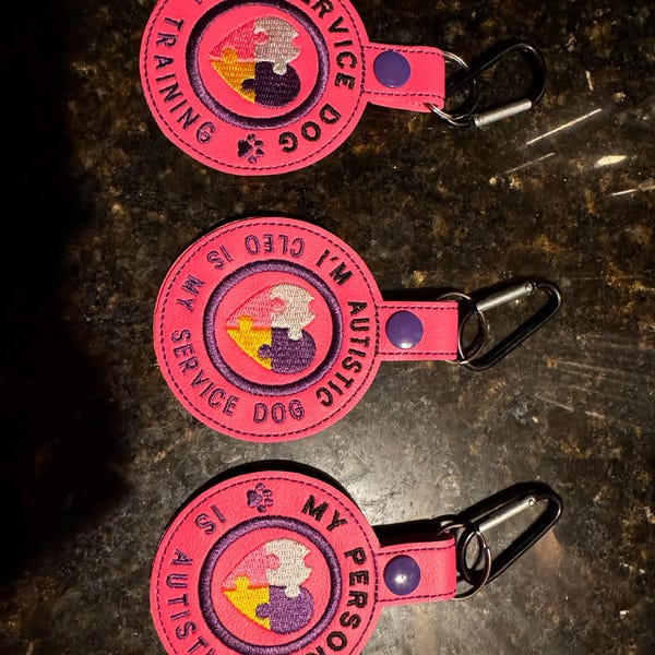 Service Dog Tag, Personalized for Dogs, Working Dog Gear, Stocking ...