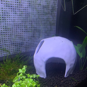 Small Fish Hide MADE TO ORDER Betta Fish Cave Small - Etsy
