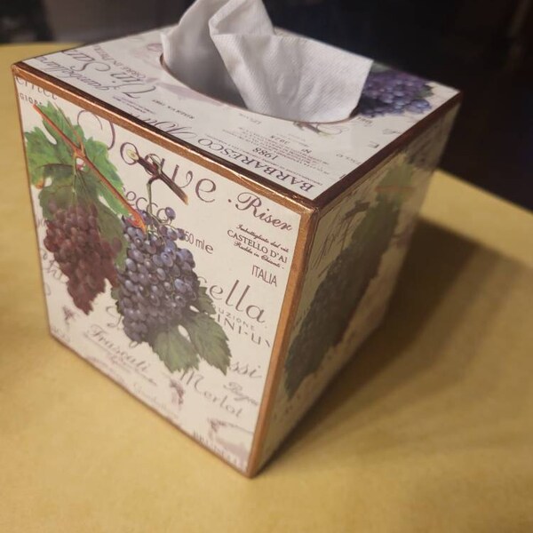 Aqua French Toile Tissue Box Cover - Etsy