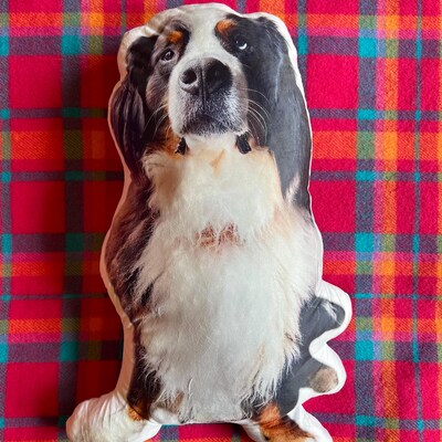 Photo Customization DIY Dog Cushion Pet Plush Toys Dolls Stuffed Animal ...