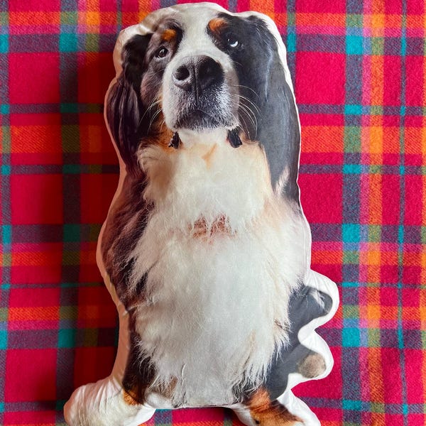 Photo Customization DIY Dog Cushion Pet Plush Toys Dolls Stuffed Animal ...