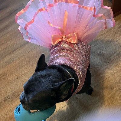 Beautiful Pink Sequinned Tu Tu Dog Dress for Small Breed Dogs Designer ...
