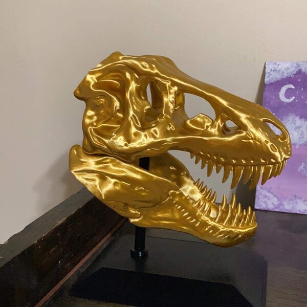 3D Printed T-rex Skull With Display Stand - Etsy