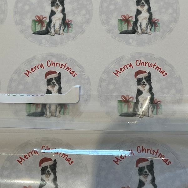 Toucan/tropical Paradise Printable Writing Paper/digital Download Note ...