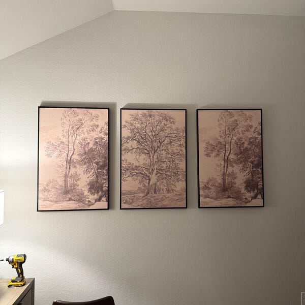 Framed Canvas Tryptic Wall Art Set, Abstract Forest Tree Art Prints ...