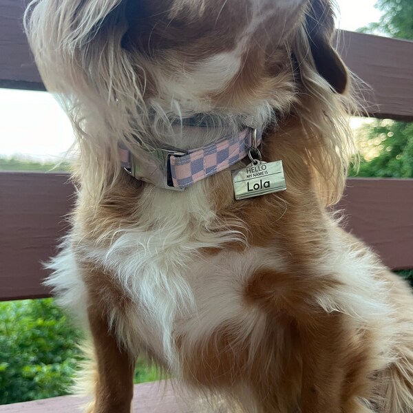 Blush Lilac Checkered Dog Collar, Spring Pastel Tiny Puppy Collar ...