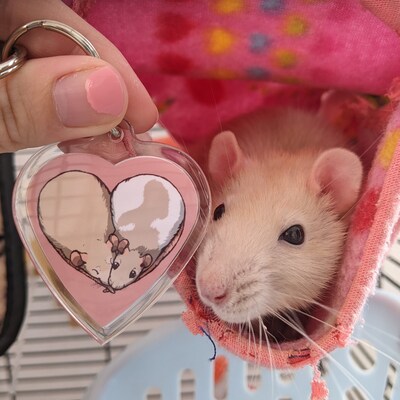 Monster Hunter Cute Poogie Stickers Pack of 16 Custom Made to Order ...