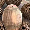 Blister Pearl Shell Pendants. Freeform Shell Pearl Pendants. Natural ...