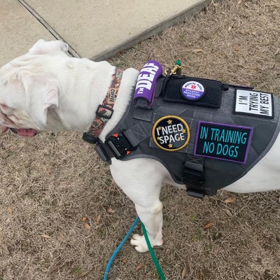 Epilepsy Medication Inside Medical Alert Patch Custom ID for Medic ...