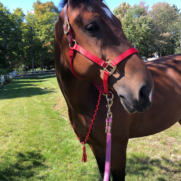 Neck Rope, Bridle Less Riding Rein, Balance Rein, Liberty Neck Rope ...