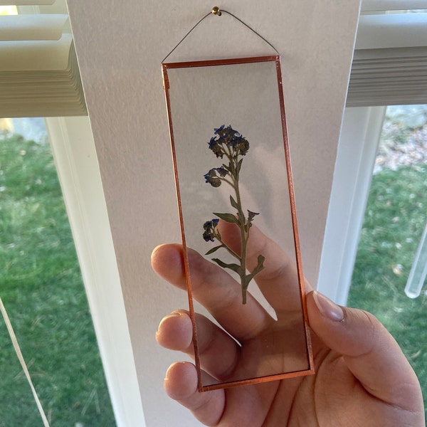 REAL PRESSED FORGETMENOT | Hand Made Pressed Forget Me Not Wall Hang ...