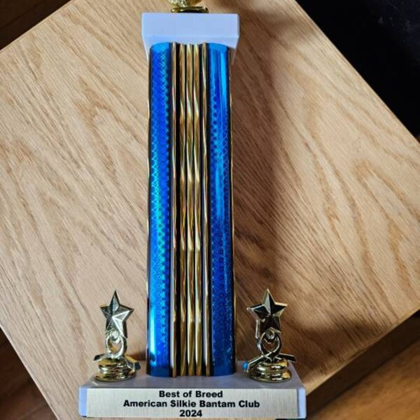 BBQ 101 Horses Ass Trophy, Dead Ass Last Trophy,dal Award,last Place ...