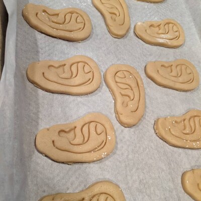 Anatomical Human Ear Cookie Cutter Cochlea Biscuit Cutter Outer Ear ...