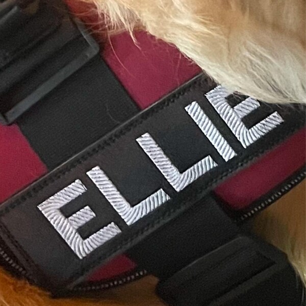 Nurse Patch With Heartbeat, Black or White Patch, Great Patch for ...