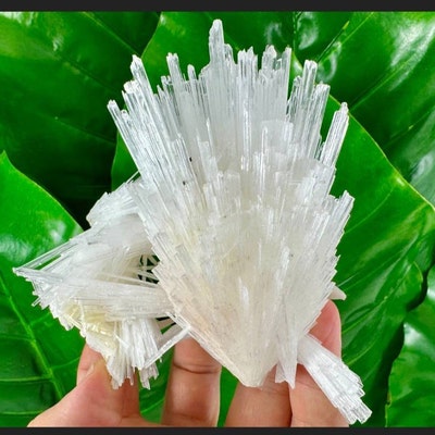 Set of 24 Different International Crystals,minerals,flat Minerals,flat ...