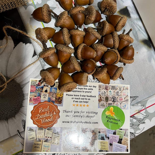 LARGE Acorns Natural Real Acorns Rustic Decor Thanksgiving Decorations ...