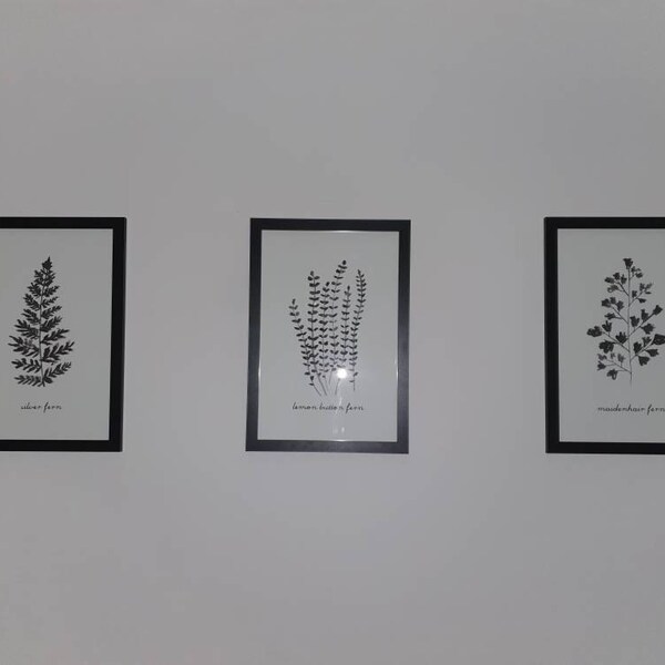 Black and White Yoga Poses Large Wall Art Set of 3, Asana Illustration ...