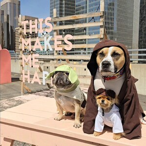 The Peanuts, Snoopy Dog Outfit, Red Baron Snoopy Dog Costume, Red Baron ...