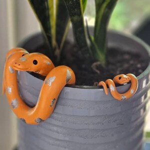 Snake Plant Pal Accessory - Etsy