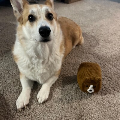 PATTERN SET: Amigurumi Crochet Pattern, Customizable Dog Loaf Pattern ...