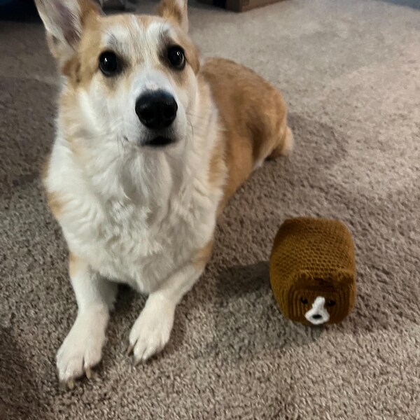 PATTERN SET: Amigurumi Crochet Pattern, Customizable Dog Loaf Pattern ...