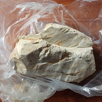 Akpi Seed Aka Djansang/ Njangsa - Etsy