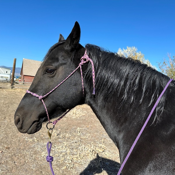 18ft Driving Line Black Horse Rope Lunge Line Gift for Horse Owner ...