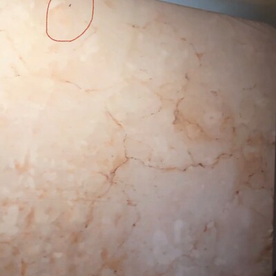 3D Slanted Wedding Open Arch Door Backdrop Stand Print Fabric Arch ...